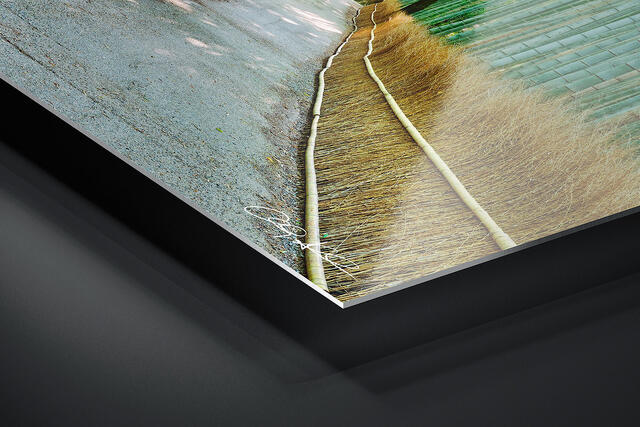 Satori | Kyoto, Japan